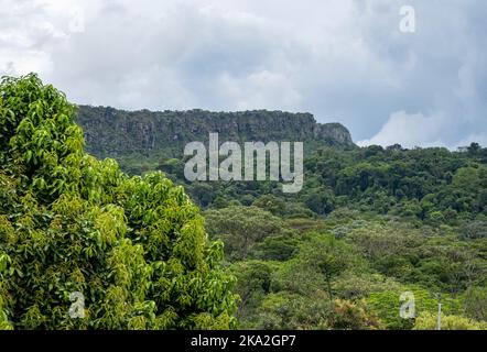 Precambrian sandstone at the top of the Tepui mountain. Tepequém ...