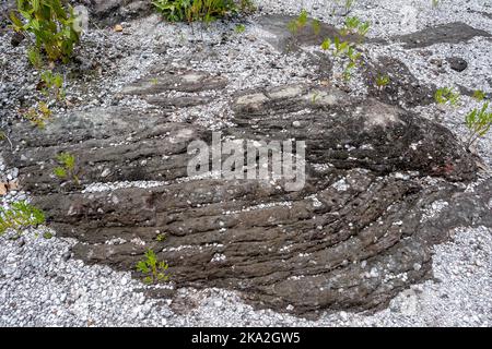 Precambrian sandstone at the top of the Tepui mountain. Tepequém ...