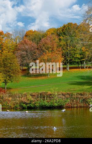 Fairlands Valley Park Stevenage in Autumn Stock Photo - Alamy