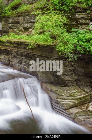 Rapids, Robert H. Treman State Park, New York Stock Photo - Alamy