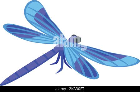 Blue wing dragonfly icon isometric vector. Fly insect. Macro summer ...