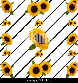 Black and White Stripe Sunflower Paper Stock Photo - Alamy