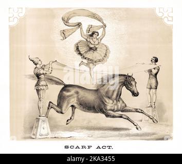 Vintage Circus poster - Male and female trapeze performers - 1875 ...