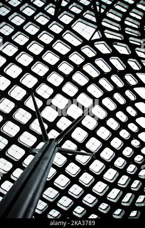 Shenzhen Spring Cocoon Sports Center Stock Photo - Alamy