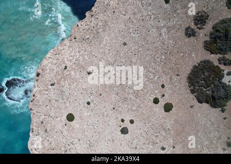 The Great Australian Bight of large oceanic bight of the southern ...