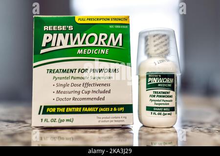 Human pinworm nematode Enterobius vermicularis, various stages in the ...