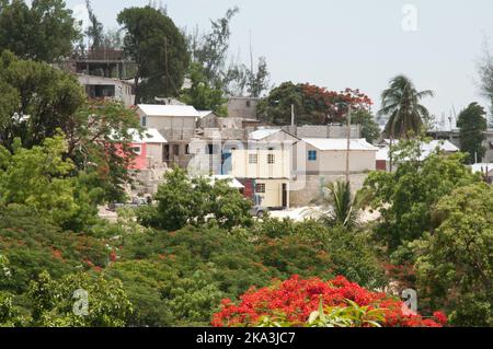 Vegetation and houses, Port-au-Prince, Haiti Stock Photo - Alamy