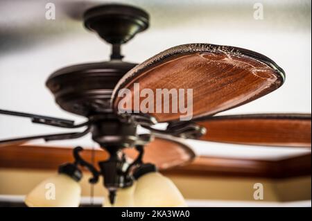 Dust on ceiling fan, Dust on the blades of a ceiling fan Stock Photo ...