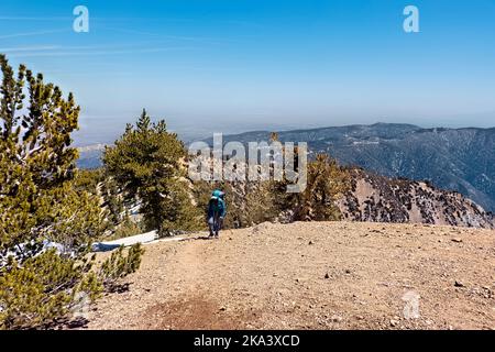 On the summit of Mount Baden-Powell, Pacific Crest Trail, Wrightwood ...