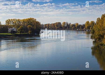 A mesmerizing view of Tisa River surrounded with trees in Vojvodina ...