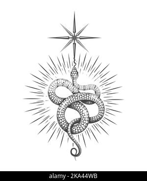 Occult snake symbol vector illustration Stock Vector Image & Art - Alamy