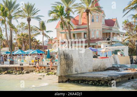 Pelicans of the Key West are big beautiful birds and one of the Florida ...