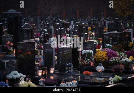 (Photo by /Sipa USA Stock Photo - Alamy