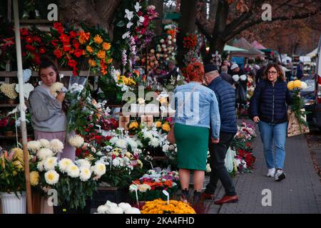 (Photo by /Sipa USA Stock Photo - Alamy