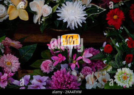(Photo by /Sipa USA Stock Photo - Alamy