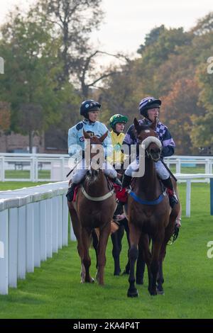 Blow Your Wad ridden by Stan Sheppard wins The Ladbrokes Boost Your ...