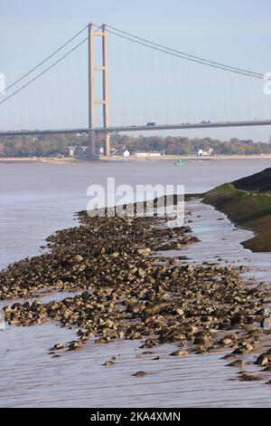 Far Ings Nature Reserve, Lincolnshire Stock Photo - Alamy