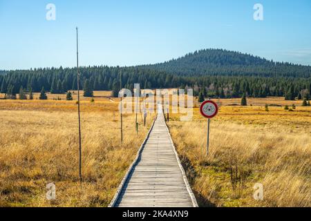 Wooden path in Bozi Dar peat bog nature reservation on sunny autumn day ...