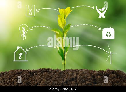 Close up photo of lightbulb with recycle icon with nature background as ...