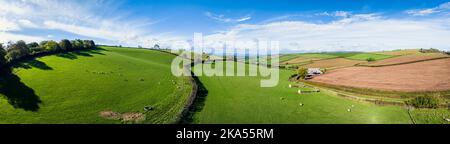 Fields and Farmlands over Labrador Bay, Devon, England Stock Photo - Alamy