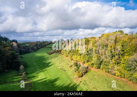 Forests and Farms over Berry Pomeroy, Devon, England, Europe Stock ...