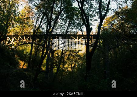 A lattice bridge connecting over a valley, with dappled light and trees ...