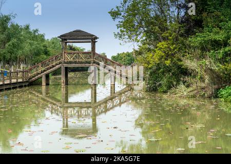 Wooden bridge over little river in city park Stock Photo - Alamy