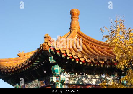 Details from the Victoria Park Pagoda by the South Saskatchewan River ...