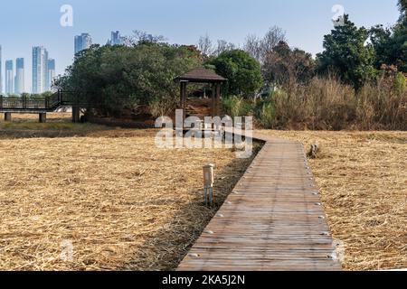 garden of southern Changjiang delta in China Stock Photo - Alamy