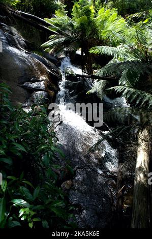 Phantom Falls is a very appropriate name for these falls - hidden away ...