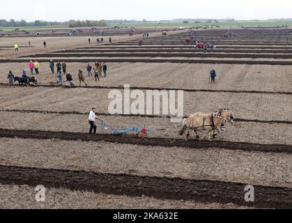 Horse Powered ploughing under way at the Ploughing Competition in ...