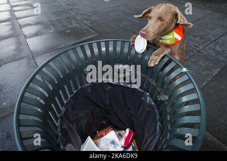 OSLO, Norway 20150903. Garbage Dog "Ridder" doing something so unusual ...