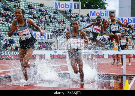 Oslo, Norway 20160609. Athletics, The IAAF Diamond League, Bislett ...
