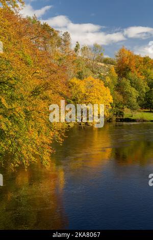 Trees reflected in River Tyne, Haddington Stock Photo - Alamy