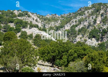 Scenic nature view of Albanian nature. Alpin environment background ...