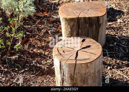 cut timber log stepping stones across landscaped gardens Stock Photo ...