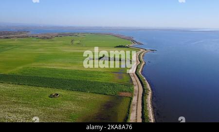 Aerial View of Ameirinhos, rural landscape near the Aveiro Lagoon at ...