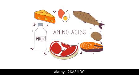 Amino acids-containing food. Groups of healthy products containing ...