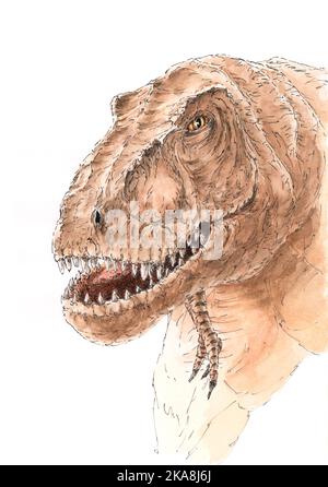 Dinosaur line drawing Stock Photo - Alamy