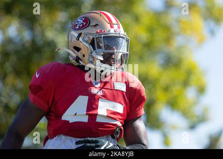 San Francisco 49ers linebacker Demetrius Flannigan-Fowles (45) looks on ...