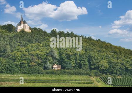 Burrweiler: vineyard, chapel St. Anna in Weinstraße, German Wine Route ...