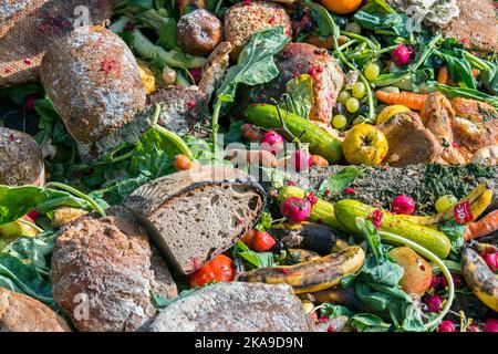 Surplus food, expired fruit and spoiled, overdue vegetables from shops ...