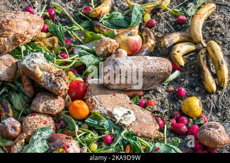 Surplus food, expired fruit and spoiled, overdue vegetables from shops ...
