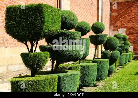 A row of formed green decorative bushes created in different geometric ...