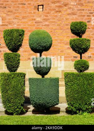 A row of formed green decorative bushes created in different geometric ...