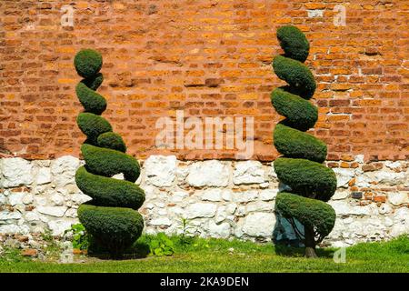 A row of formed green decorative bushes created in different geometric ...