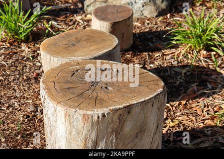 cut timber log stepping stones across landscaped gardens Stock Photo ...