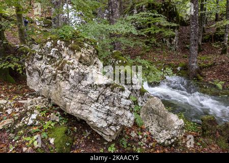Waterfall near Glacial Lake Bohinj, Triglav National Park, Bohinj ...
