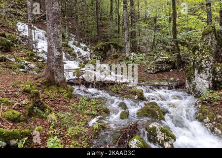 Waterfall near Glacial Lake Bohinj, Triglav National Park, Bohinj ...