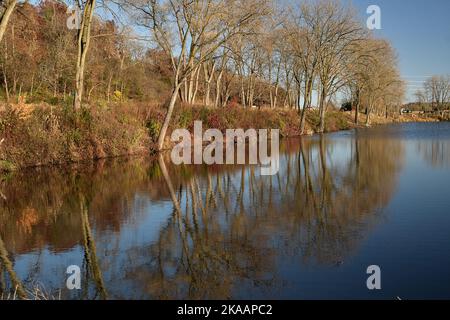 Reflections at Salmo Pond in Dane County WI Stock Photo - Alamy